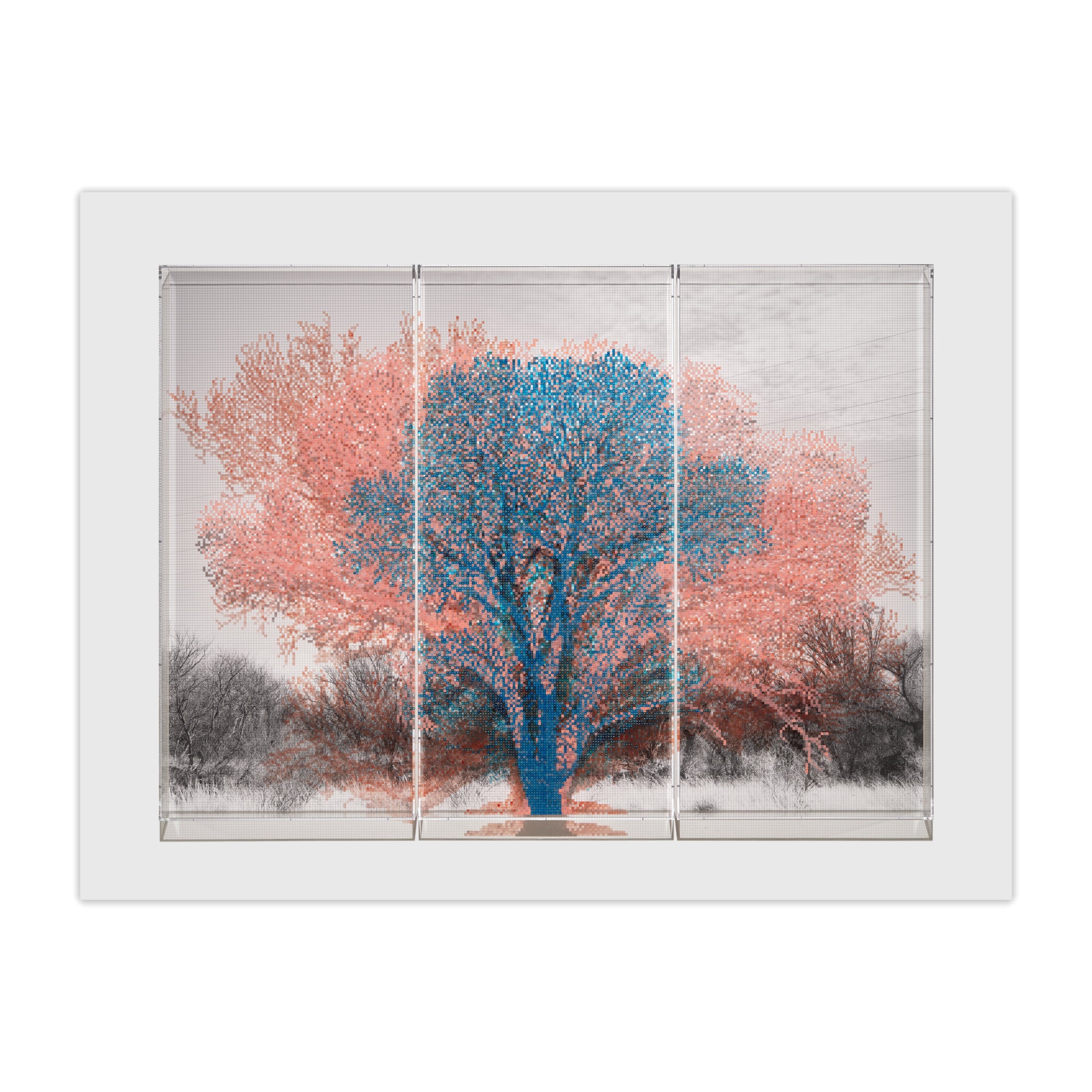 Charles Gaines: 1992-2023 + Numbers and Trees (Arizona Series)– Phoenix ...